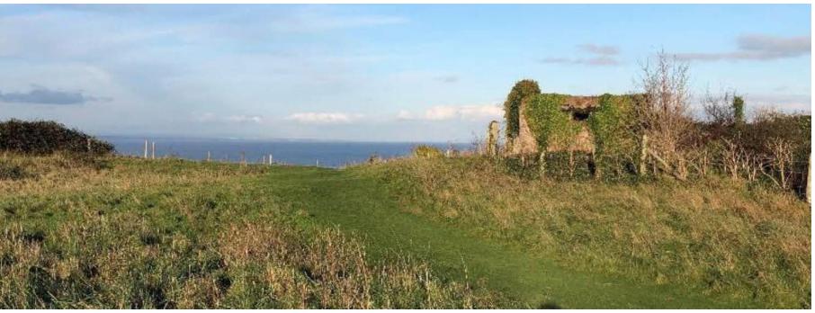 Historic England Research Report on Heritage and Biodiversity ...