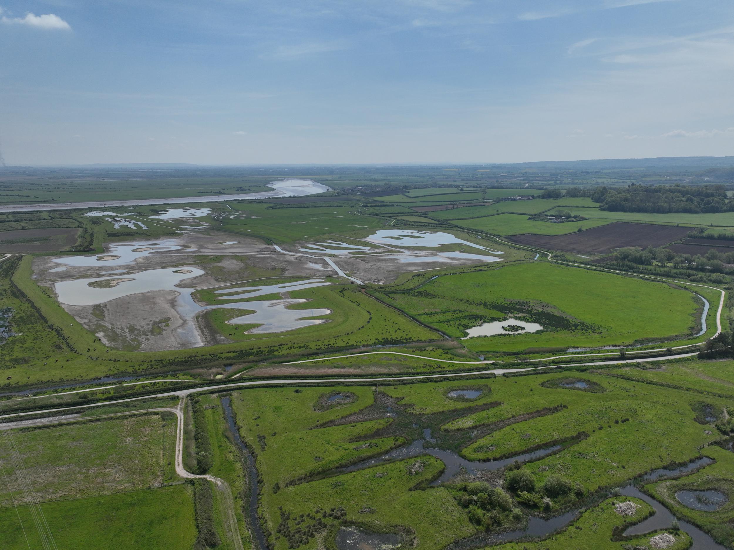 WWT Steart Research day 2024 - Geckoella Ltd