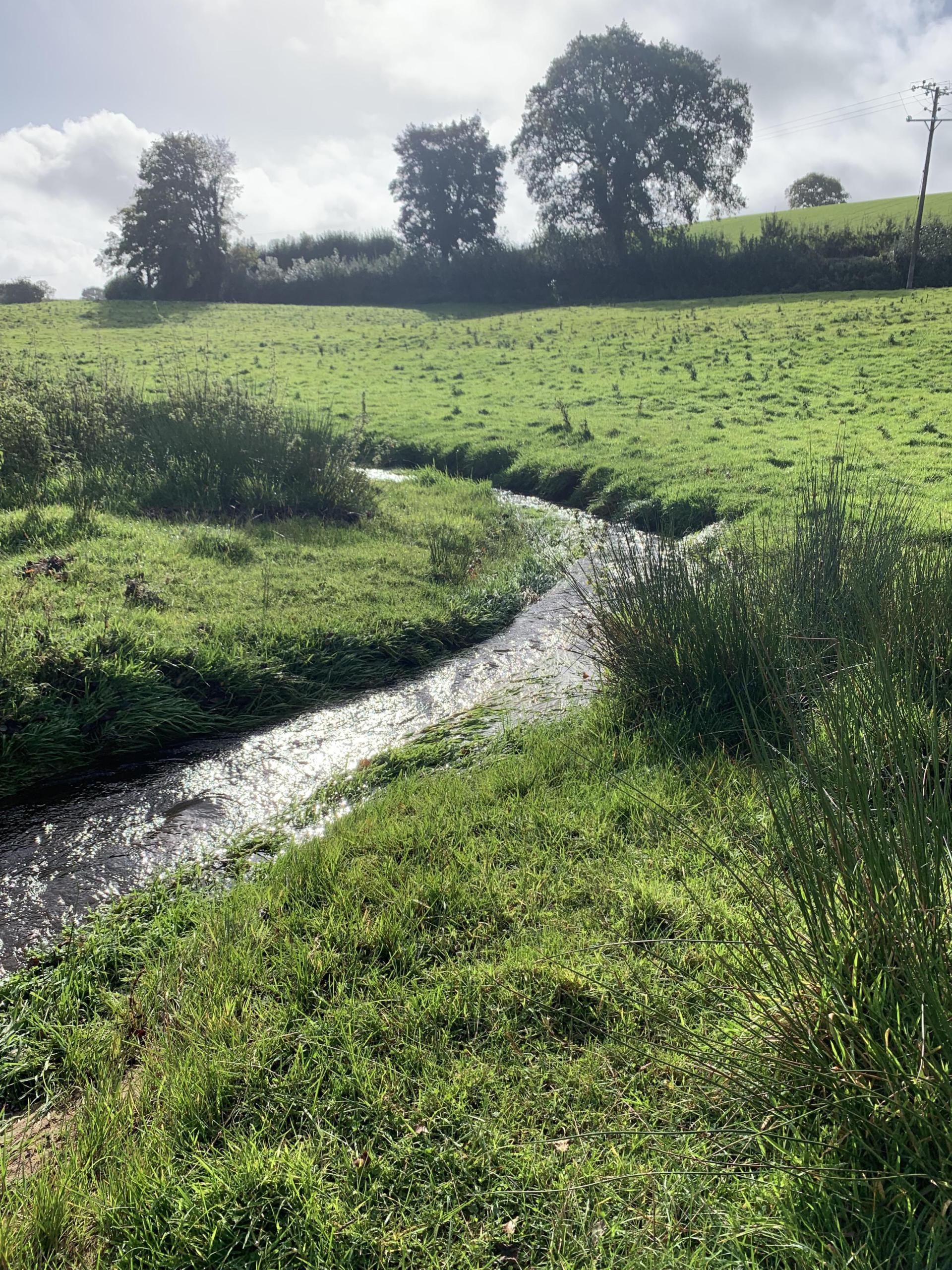 Nature recovery and MoRPh Survey in East Devon - Geckoella Ltd